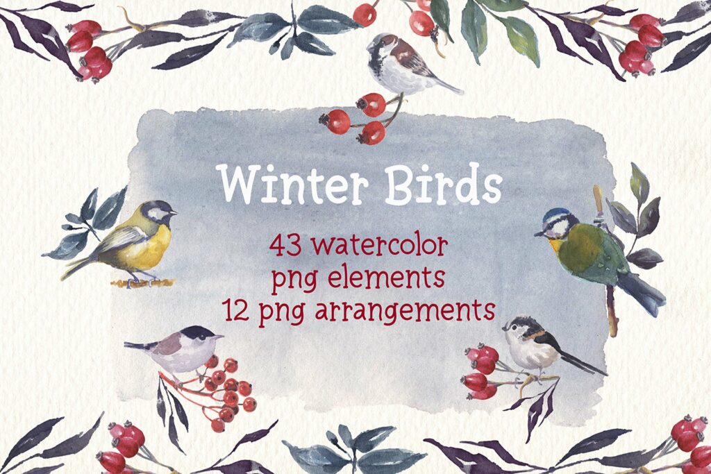 Winter Birds Watercolor Clip Art Set Design Elements – MasterBundles