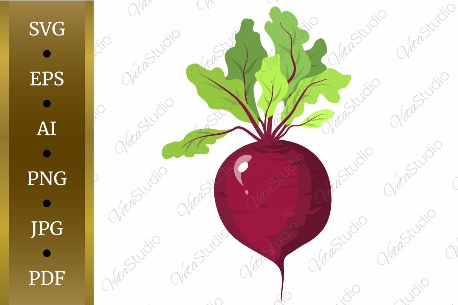 Beet Image with Green Leaves. Red Beetroot. SVG. Vector. – MasterBundles