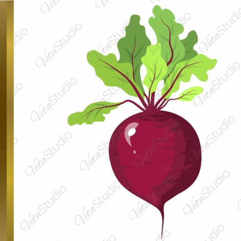 Beet Image with Green Leaves. Red Beetroot. SVG. Vector. | Master Bundles