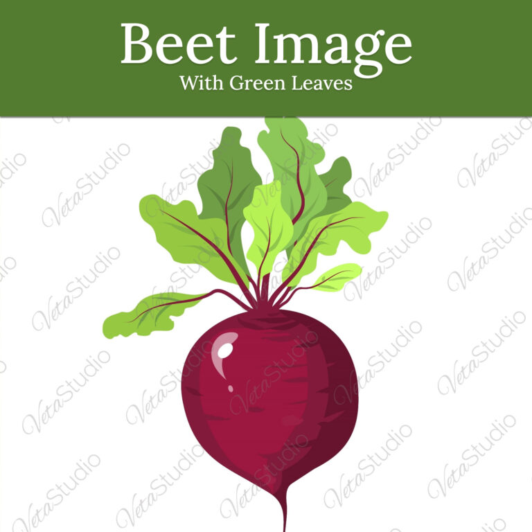 Beet Image with Green Leaves. Red Beetroot. SVG. Vector. – MasterBundles