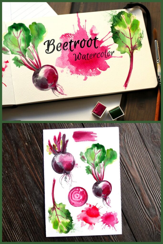 Beetroot. Watercolor Sketch Food – MasterBundles