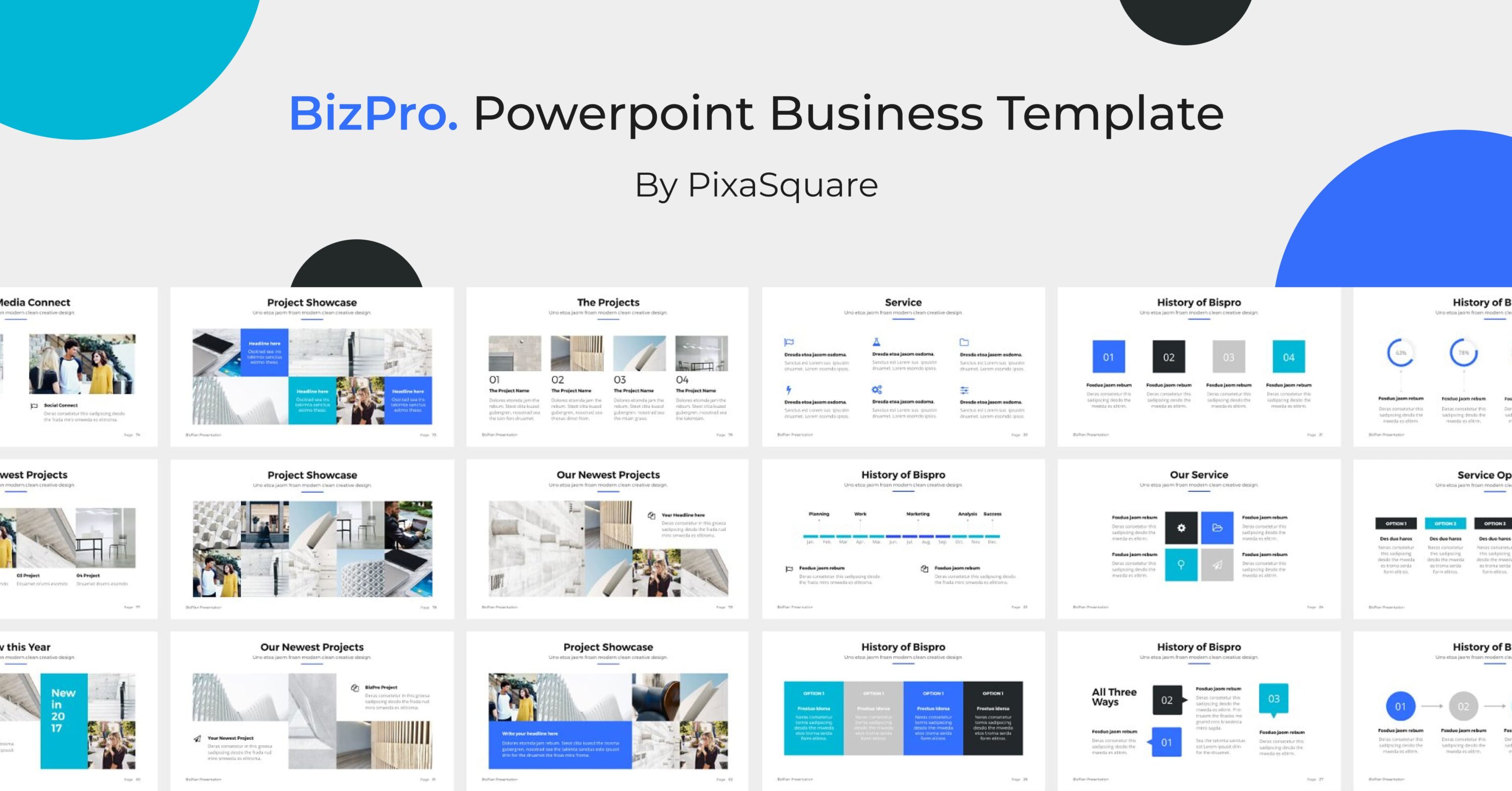 BizPro. Powerpoint Business Template – MasterBundles