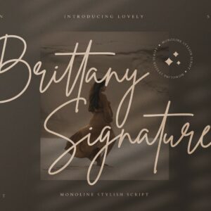 Brittany Signature Business Font - MasterBundles