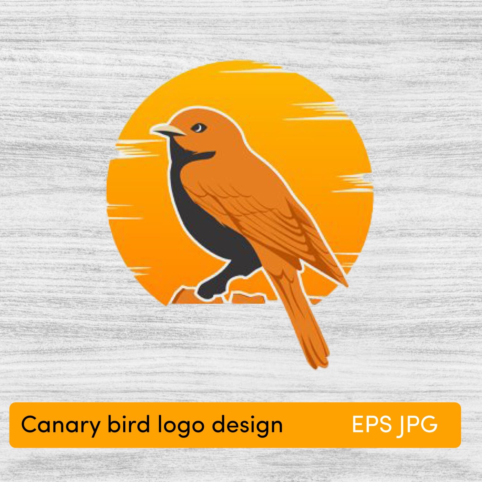 Canary Bird Logo Design Vector Illustration – MasterBundles