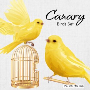 Canary Bird Logo Design Vector Illustration – MasterBundles