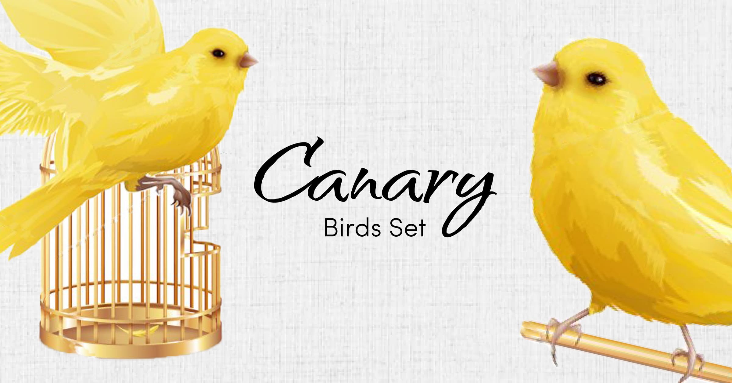 Canary Birds Set – MasterBundles