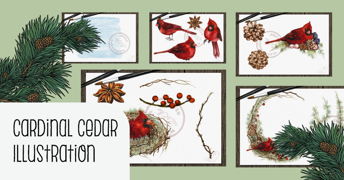 Cardinal Cedar Illustration – MasterBundles