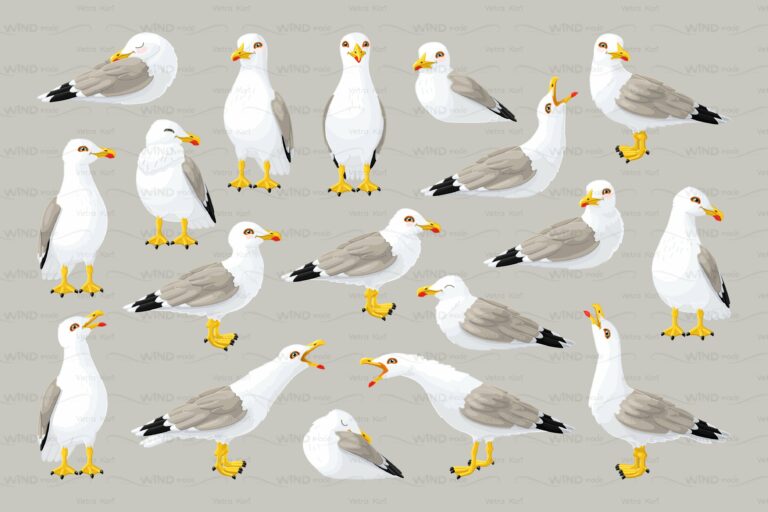 Vector Seagull Sea Gull Set – MasterBundles