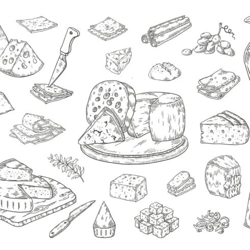 Cheese Sketch. Hand Drawn Milk Products, Gourmet Food Slices ...