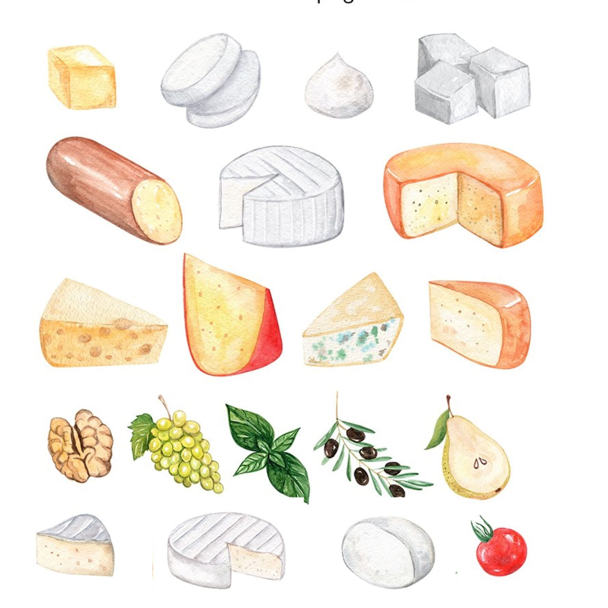 Cheese Watercolor Clipart – MasterBundles