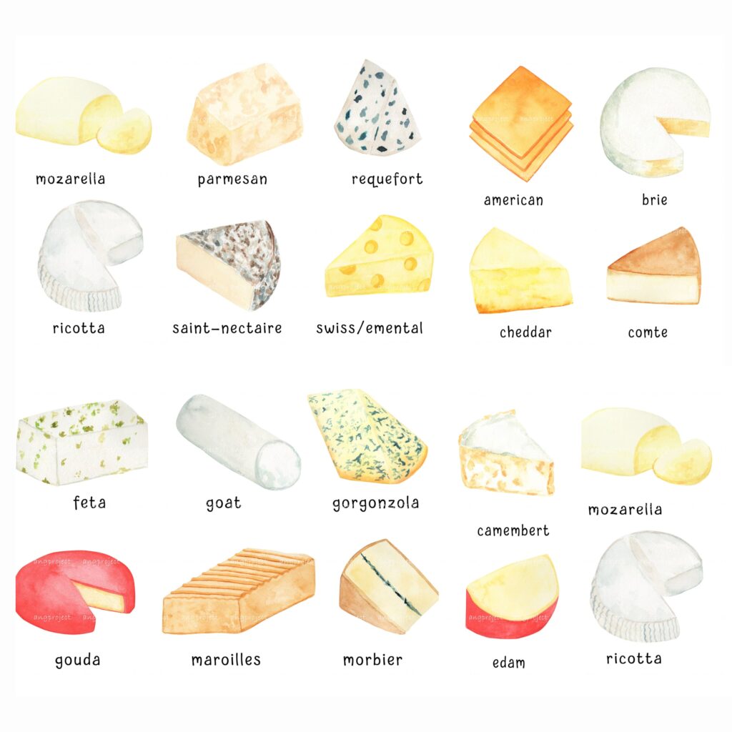 Cheese Watercolor Clipart - Food Watercolor Png – MasterBundles