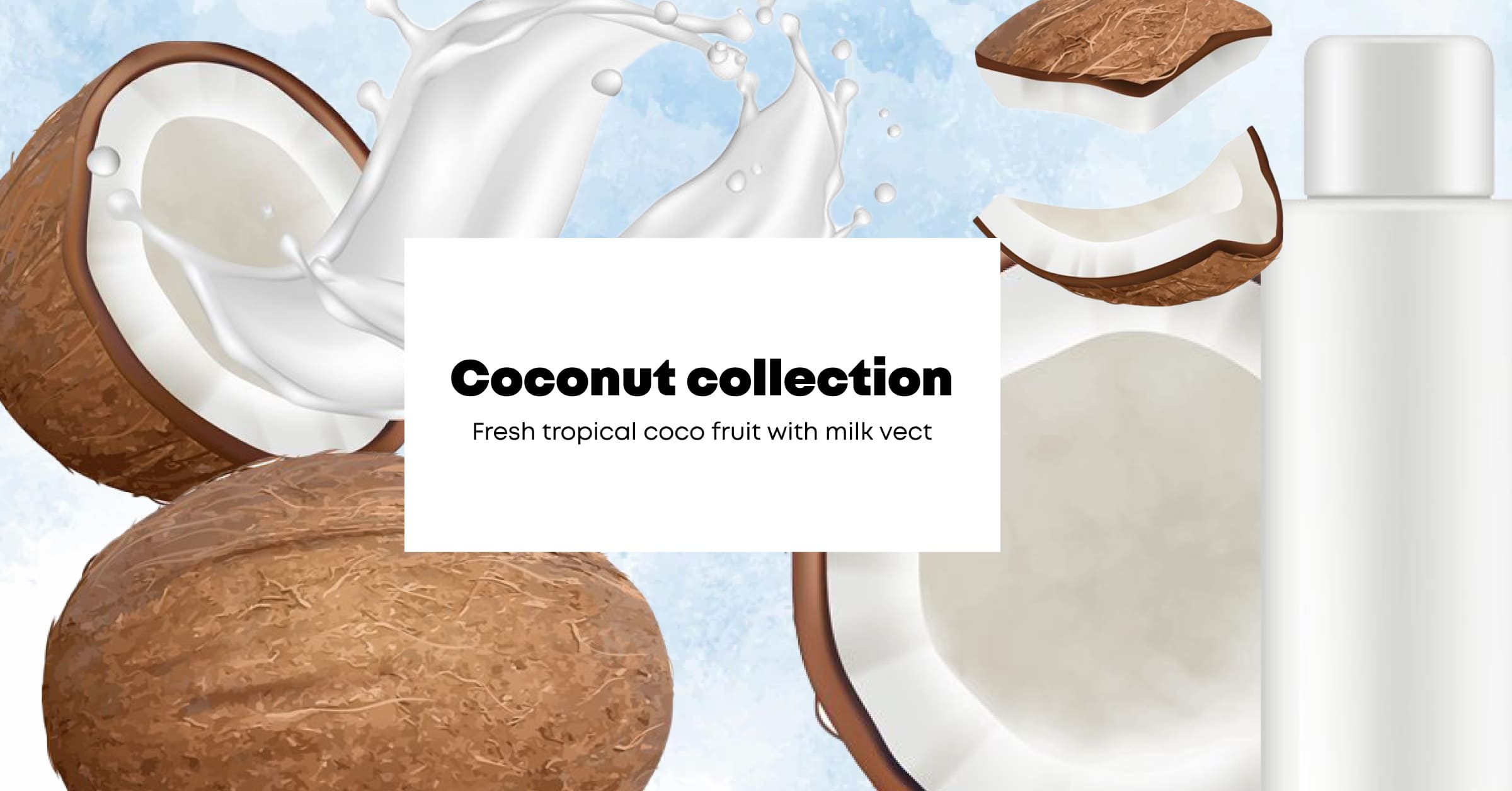 Coconut Collection. Fresh Tropical Coco Fruit with Milk Vect ...