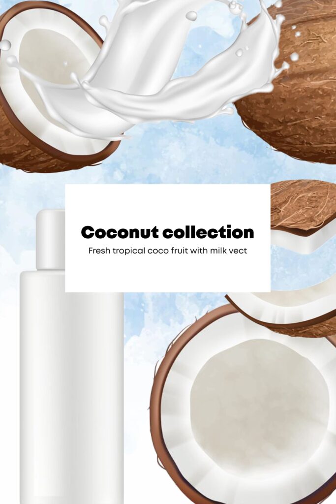 Coconut Collection. Fresh Tropical Coco Fruit with Milk Vect ...