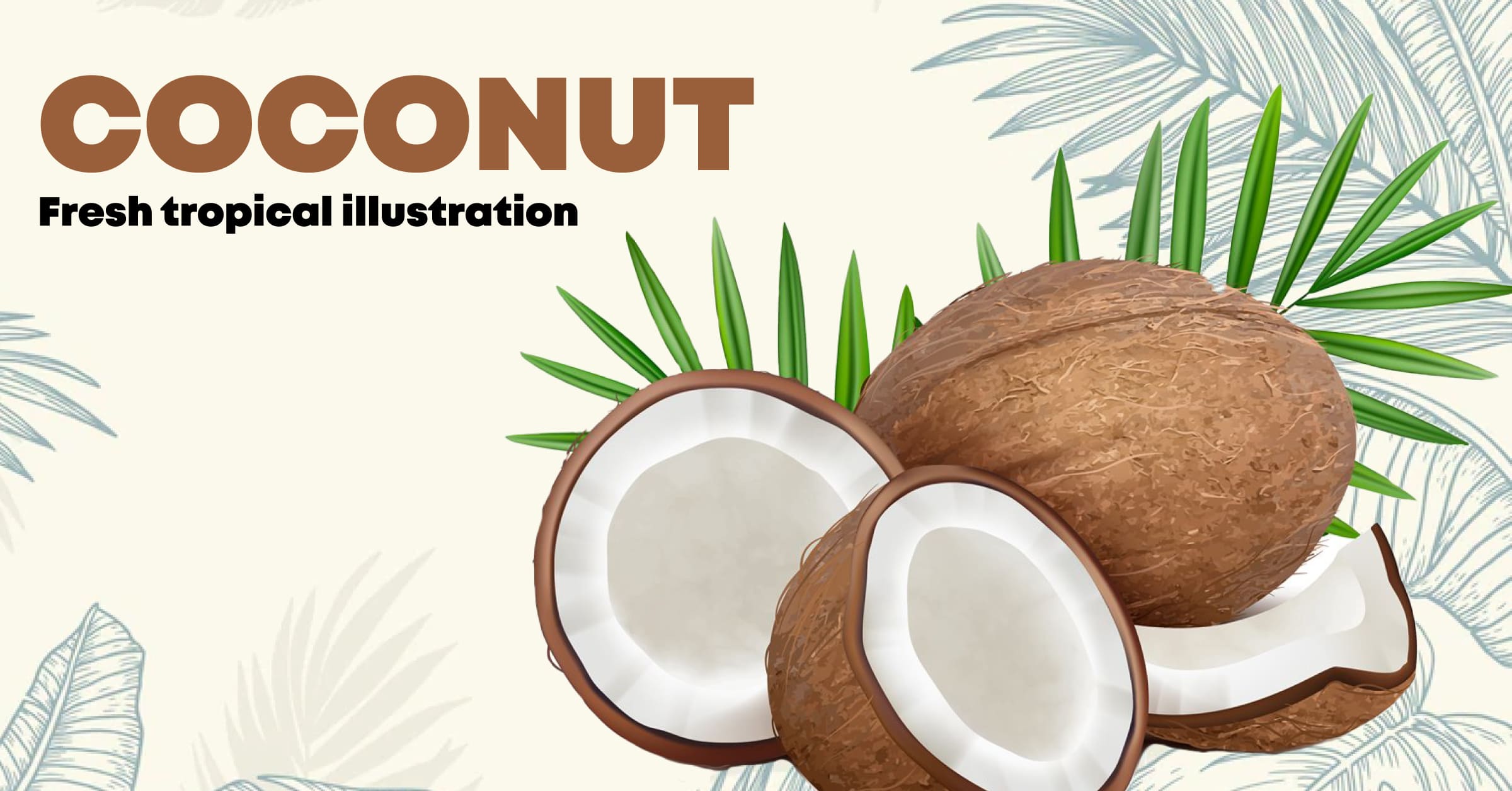 Coconut. Fresh Tropical Opened Coco Fruit with Milk and Palm ...