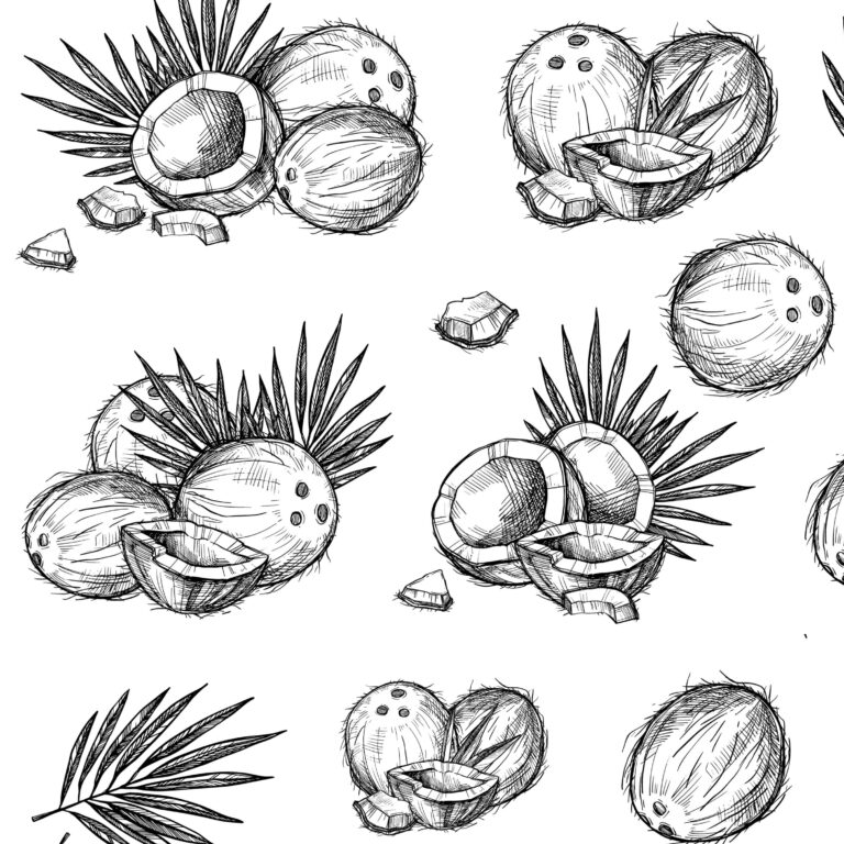 Coconut Vector Isolated on White Background. – MasterBundles