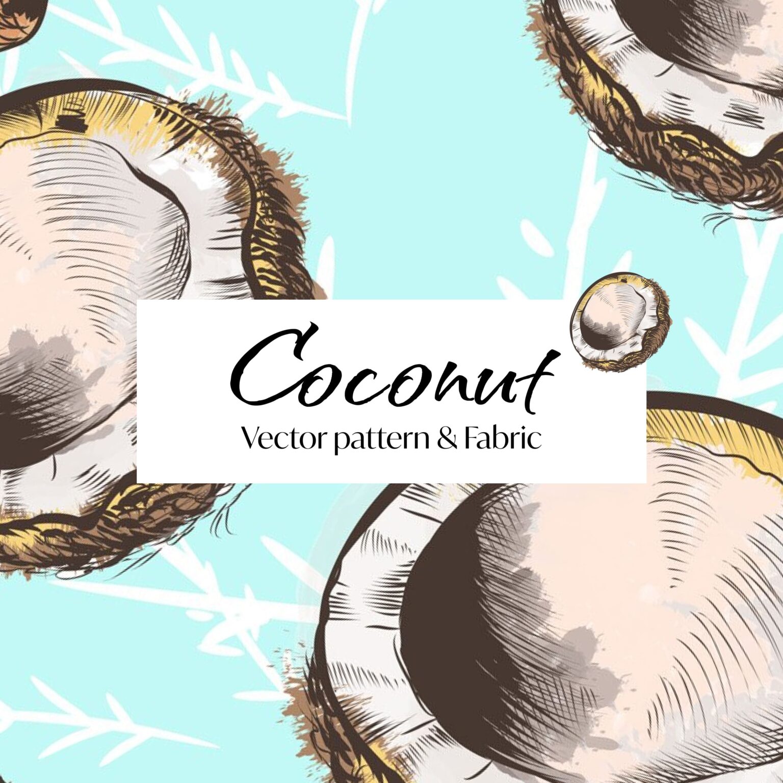 Coconut Vector Isolated on White Background. – MasterBundles