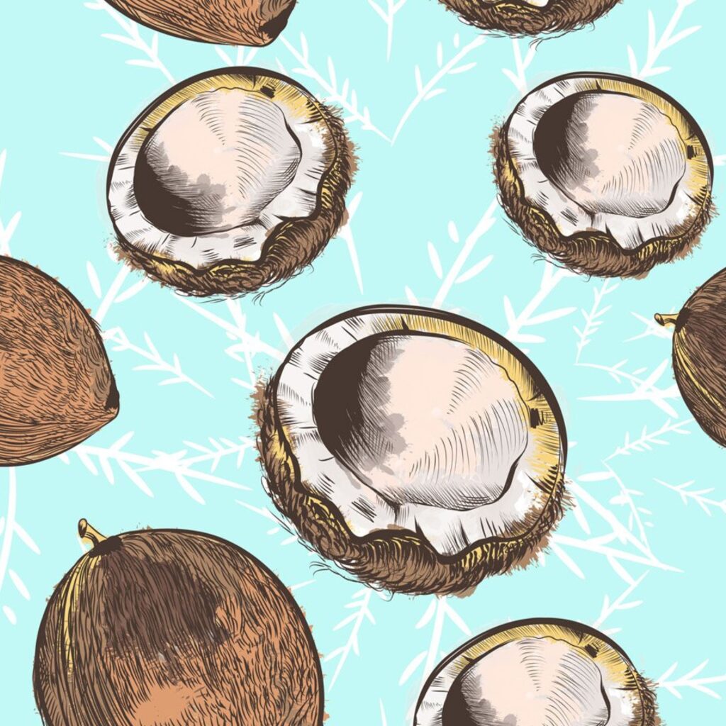 Coconut Vector Pattern for Wallpaper or Fabric – MasterBundles