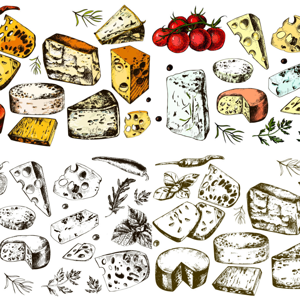 Collection Of Hand Drawing Cheeses – MasterBundles