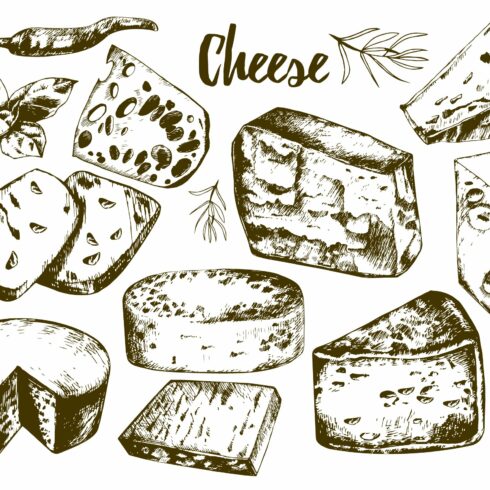 Collection Of Hand Drawing Cheeses | Master Bundles