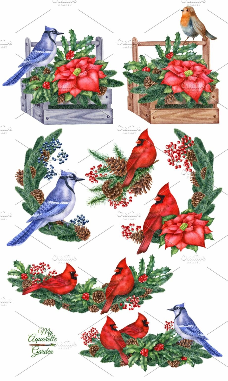 Watercolor Winter Birds – MasterBundles