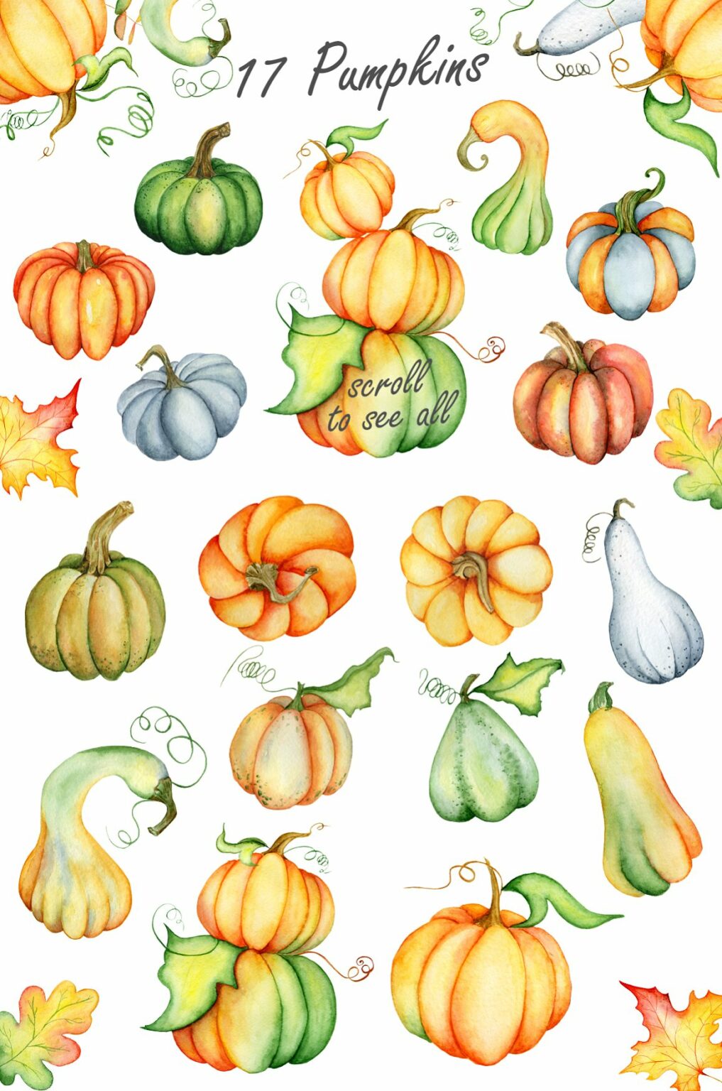 Happy Thanksgiving Pumpkins Clipart – MasterBundles