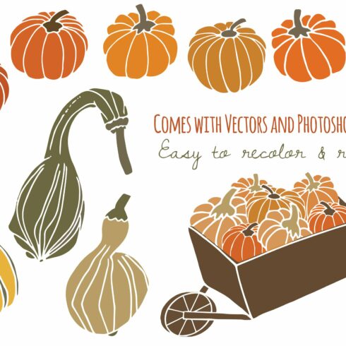 Pumpkins & Gourds Clip Art – MasterBundles