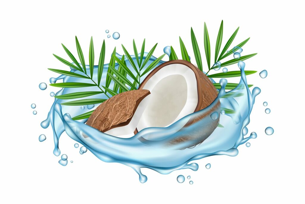 Coconut Water Vector Concept. Realistic Coconut, Water Splas ...