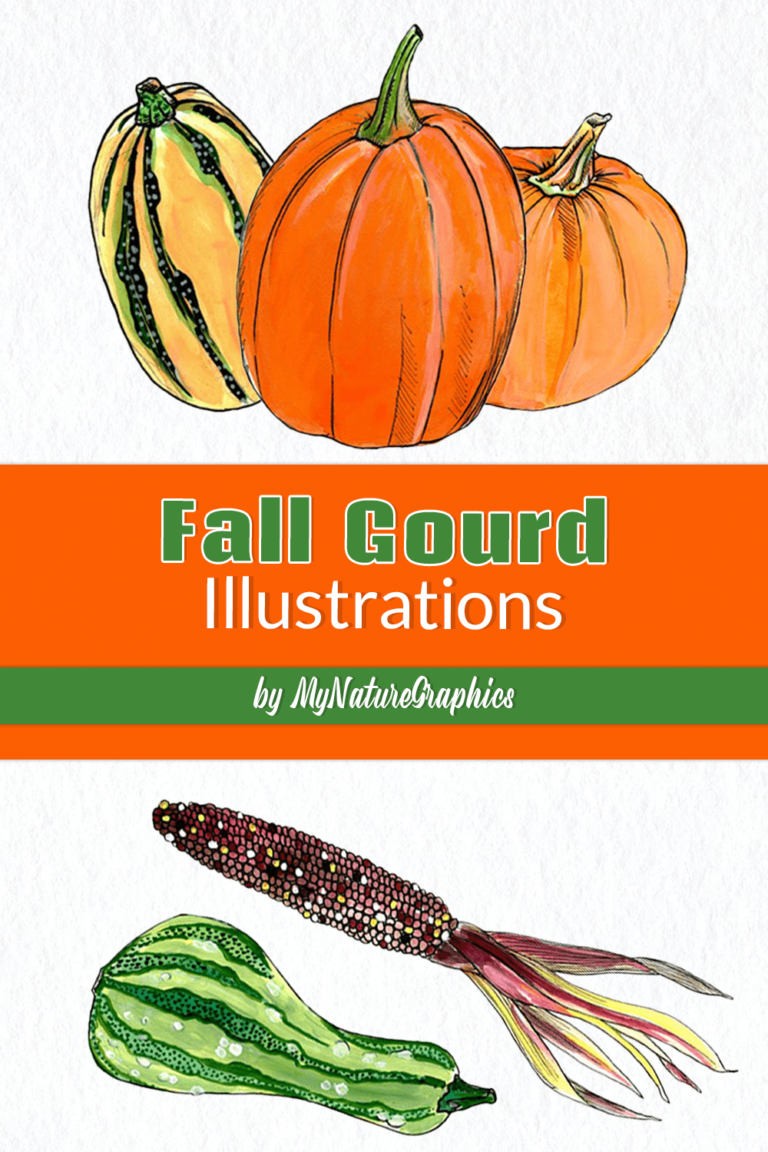 Fall Gourd Illustrations – MasterBundles