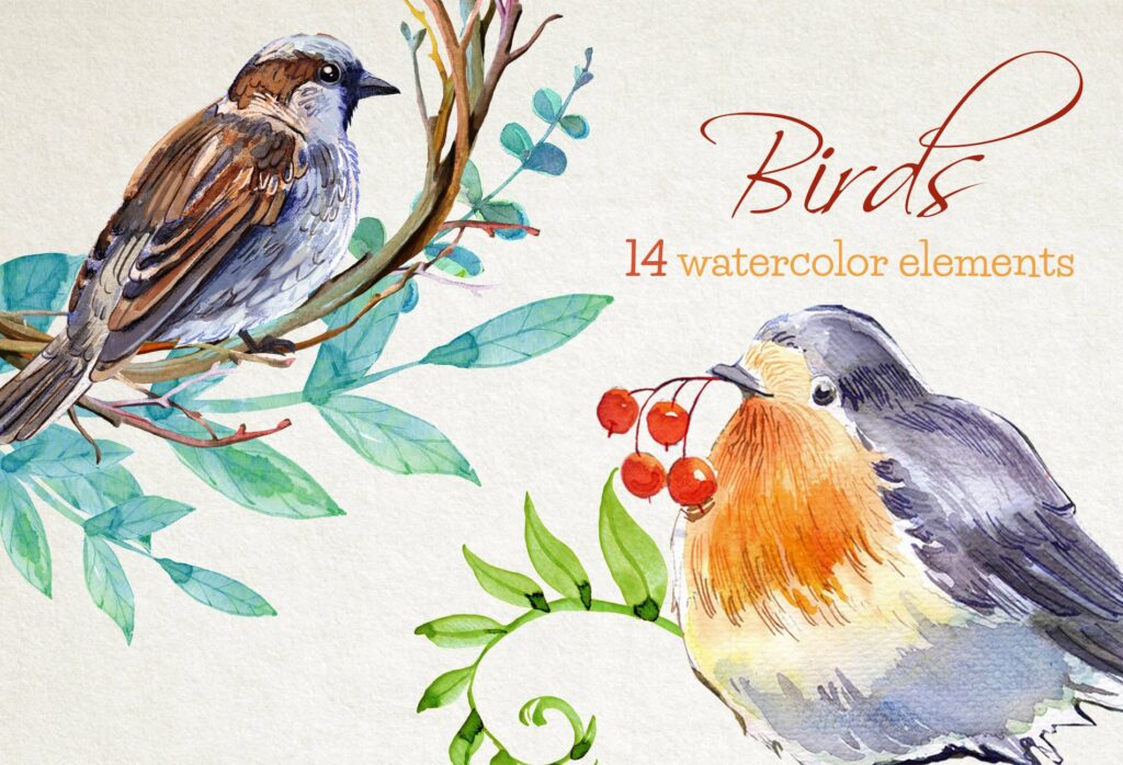 Birds Watercolor Clipart Set – MasterBundles