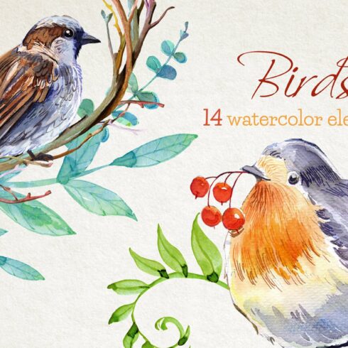 Birds Watercolor Clipart Set | Master Bundles