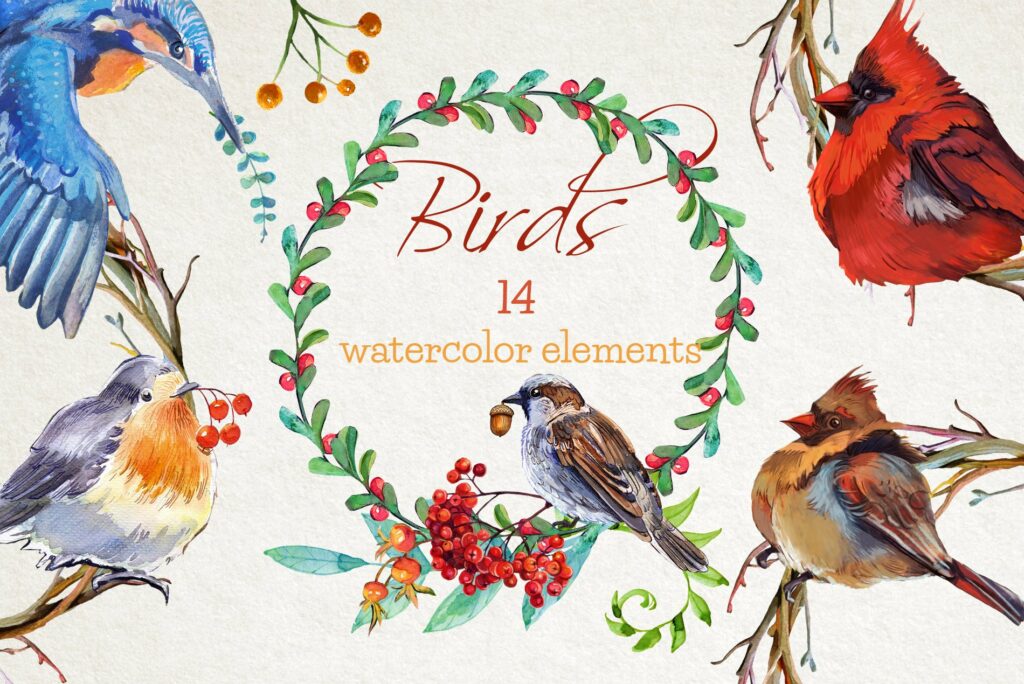Birds Watercolor Clipart Set – MasterBundles