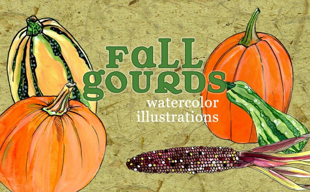 Fall Gourd Illustrations – MasterBundles