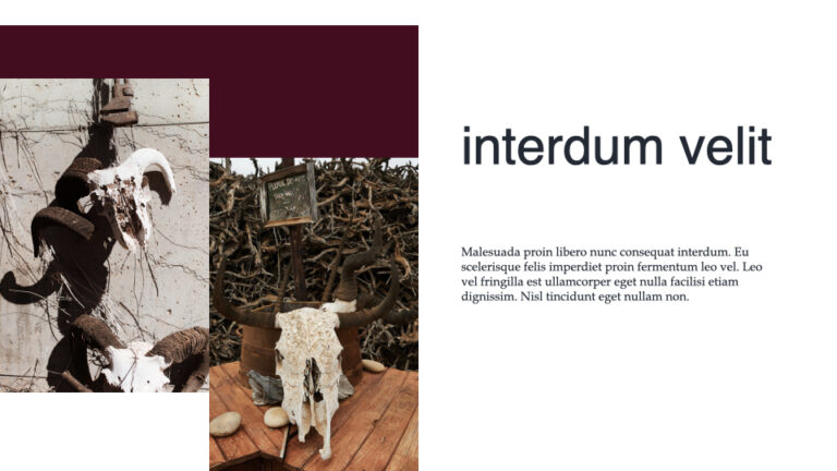 Halloween Skeleton Powerpoint Template – MasterBundles