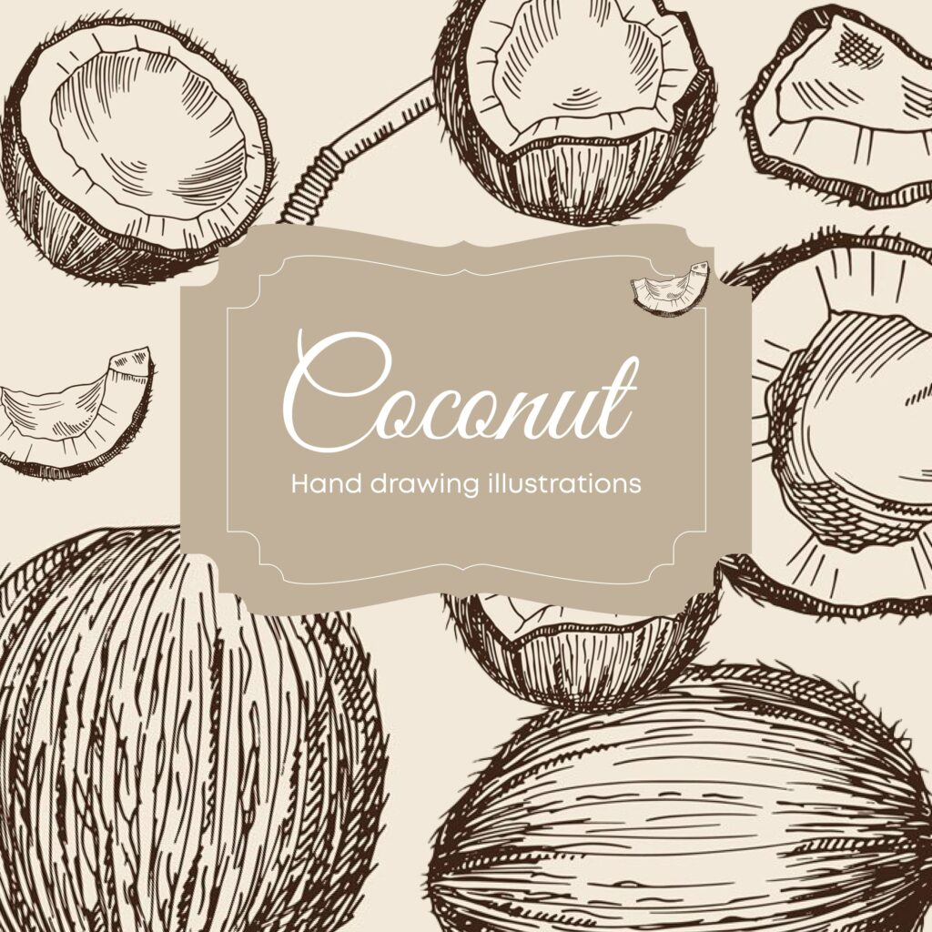 Hand Drawing Illustrations of Different Sides of Coconut – MasterBundles