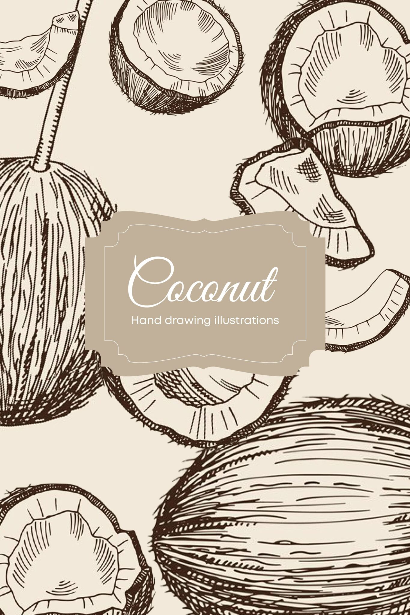 Hand Drawing Illustrations of Different Sides of Coconut – MasterBundles