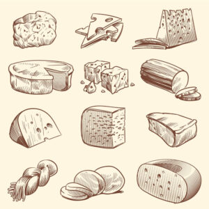 Hand Drawn Cheese. Various Types Of Cheeses. Tasty Brie, Moz ...