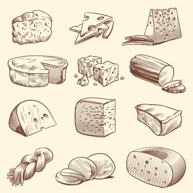 Hand Drawn Cheese. Various Types Of Cheeses. Tasty Brie, Moz ...