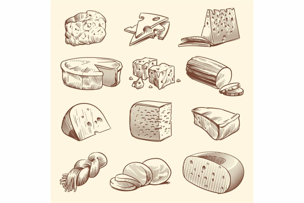 Hand Drawn Cheese. Various Types Of Cheeses. Tasty Brie, Moz ...