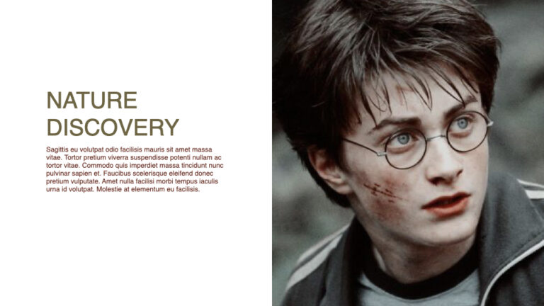 Harry Potter Halloween Powerpoint Template – MasterBundles
