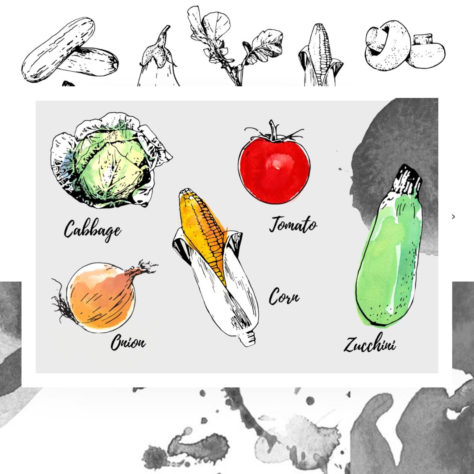 Ink & Watercolour Vegetables – MasterBundles