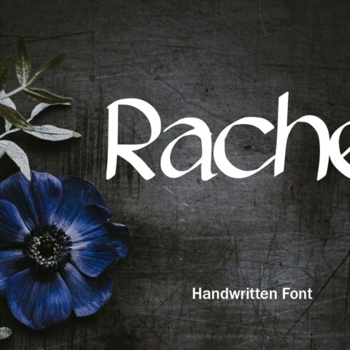 200 Unique Fonts Bundle | Master Bundles