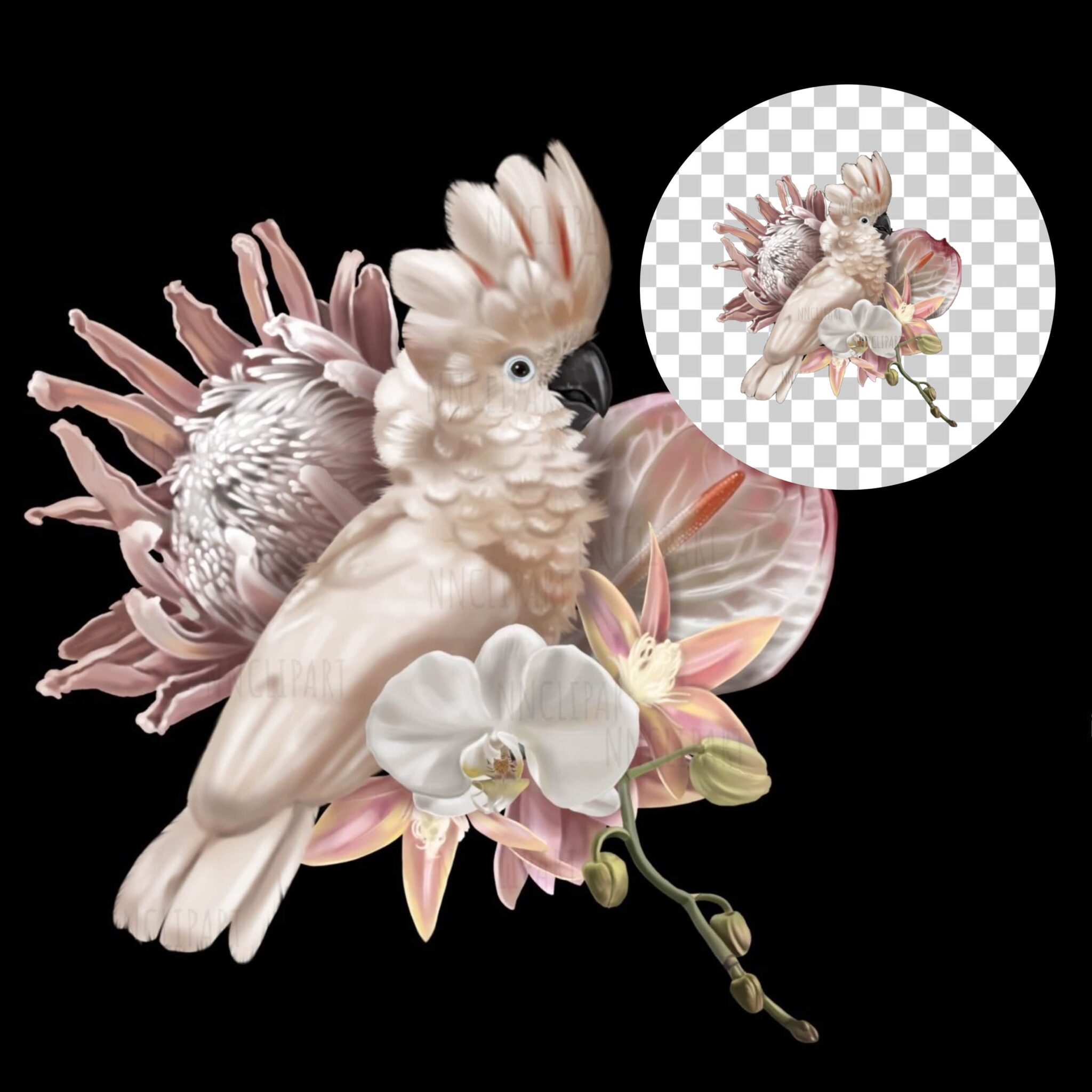 Cockatoo Ink Lineart, Parrot Clip Art, Bird Vector File | Master Bundles