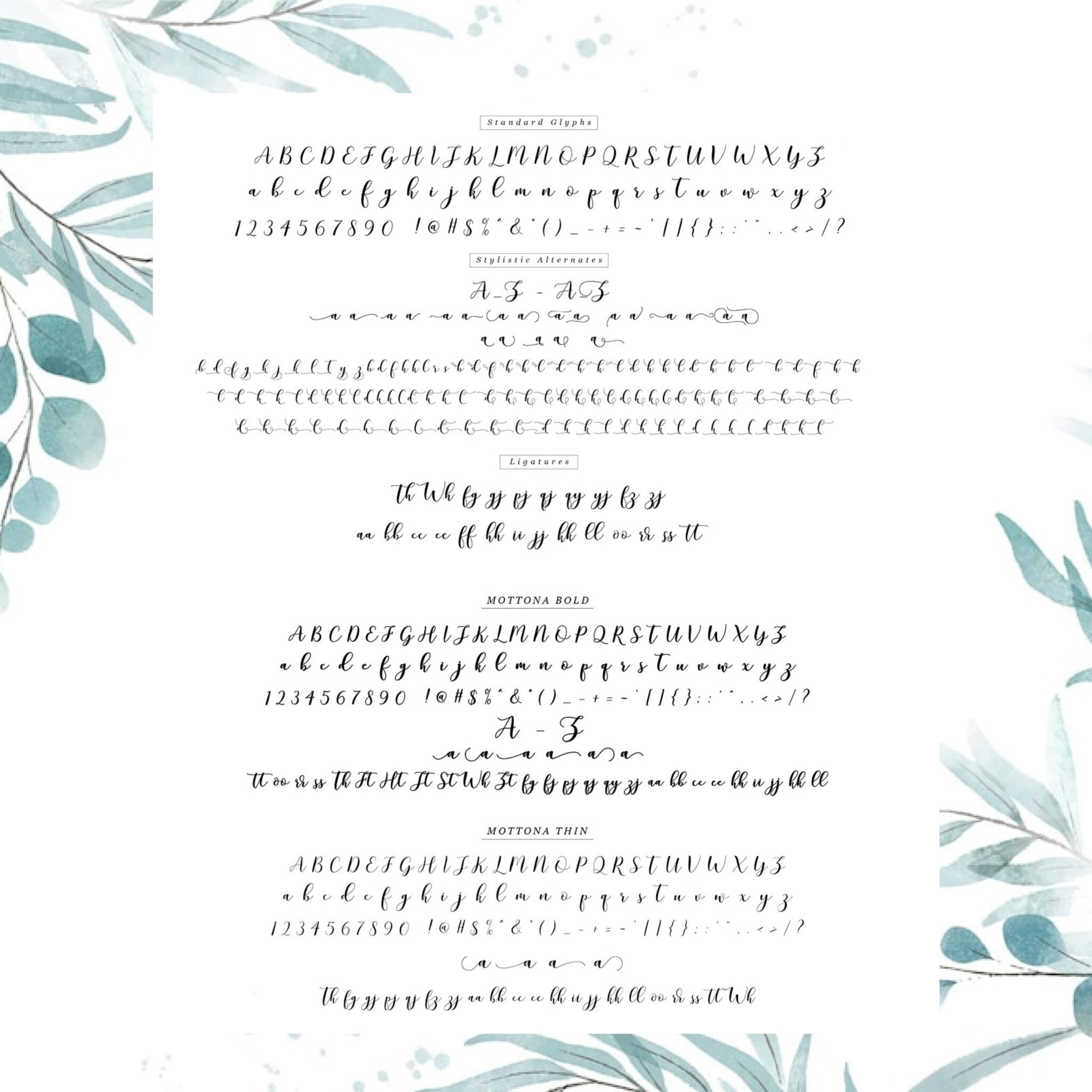 Mottona Script Font – MasterBundles