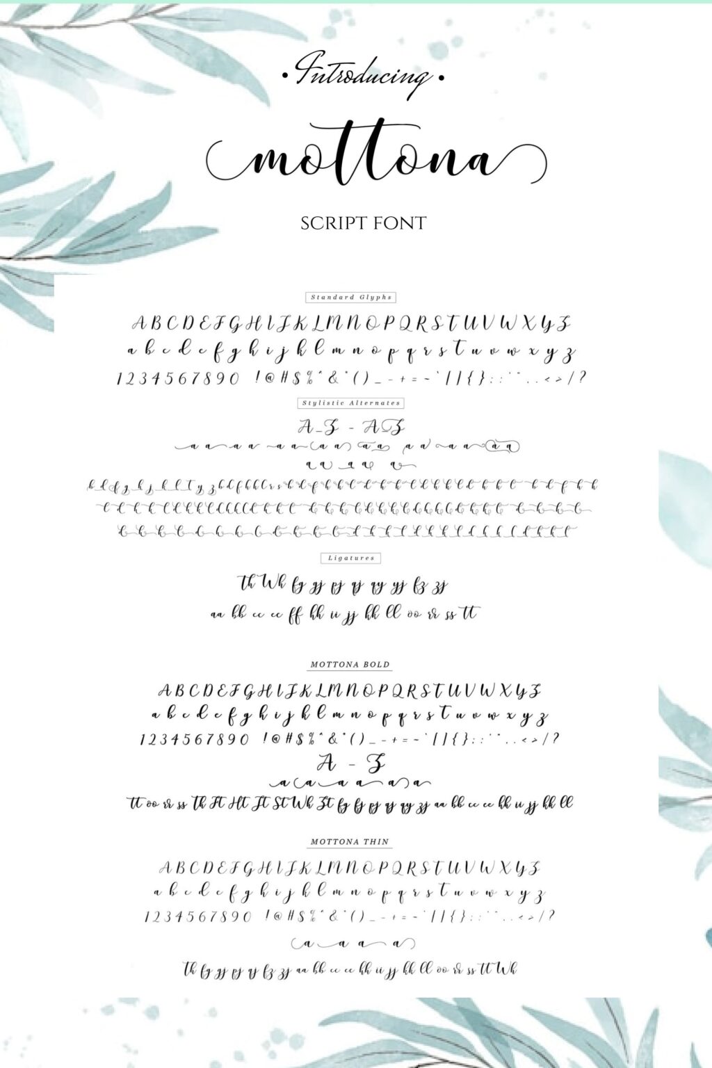 Mottona Script Font – MasterBundles