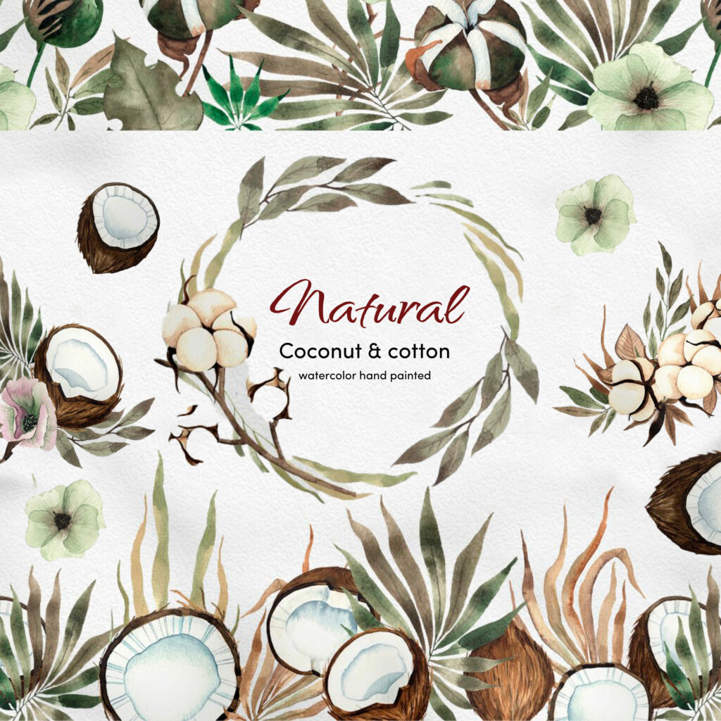 Coconut Vector Isolated on White Background. – MasterBundles