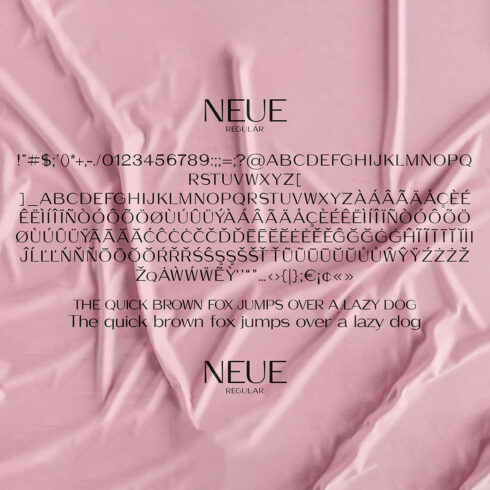 Neue Refined Sans Serif Font - MasterBundles