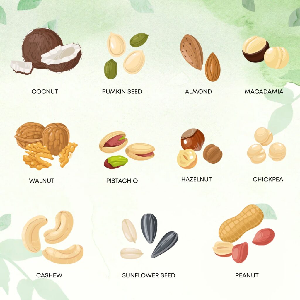 Nuts and Seeds. Cashew and Hazelnut, Almond and Coconut, Wal ...