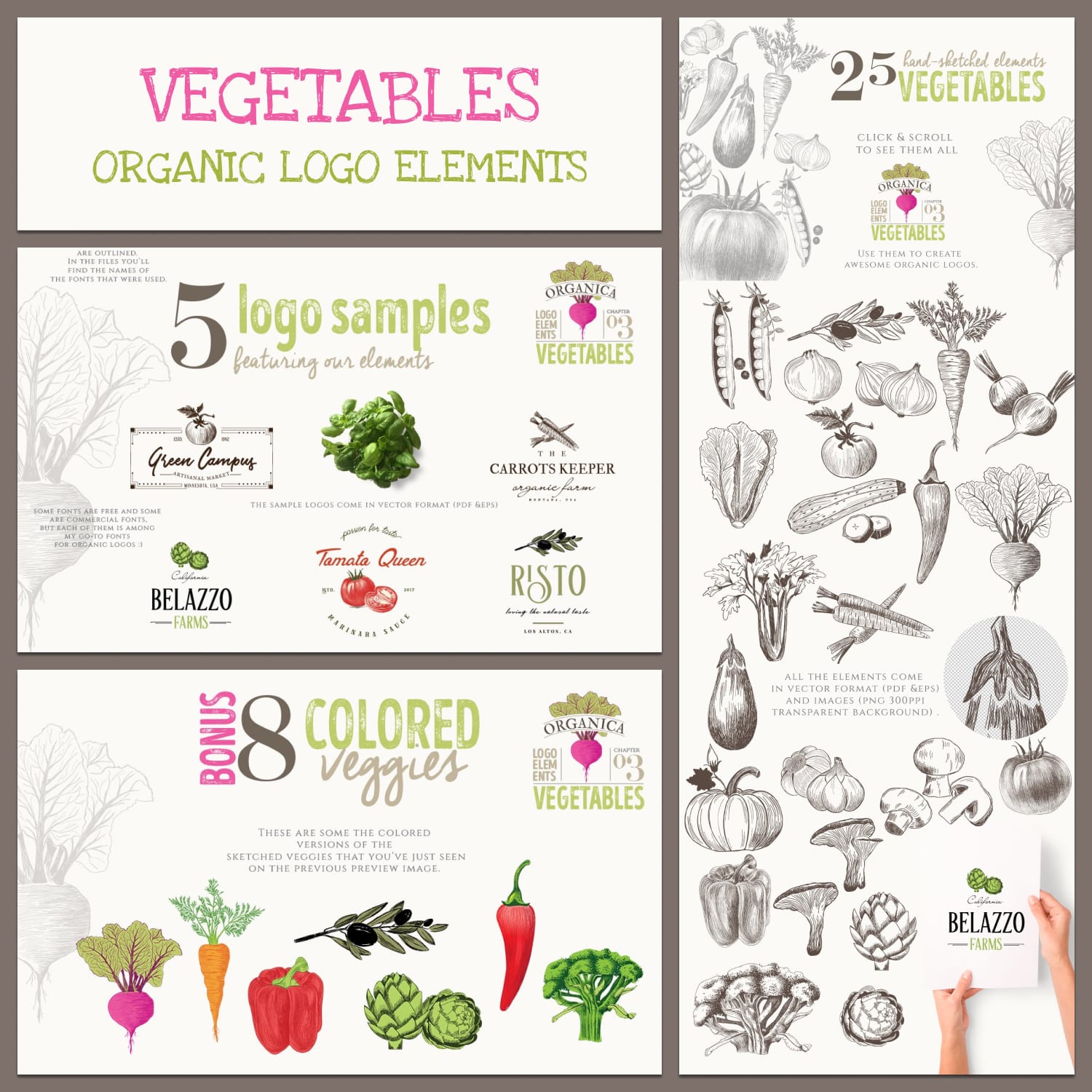 Organic Logo Elements – Vegetables | Master Bundles