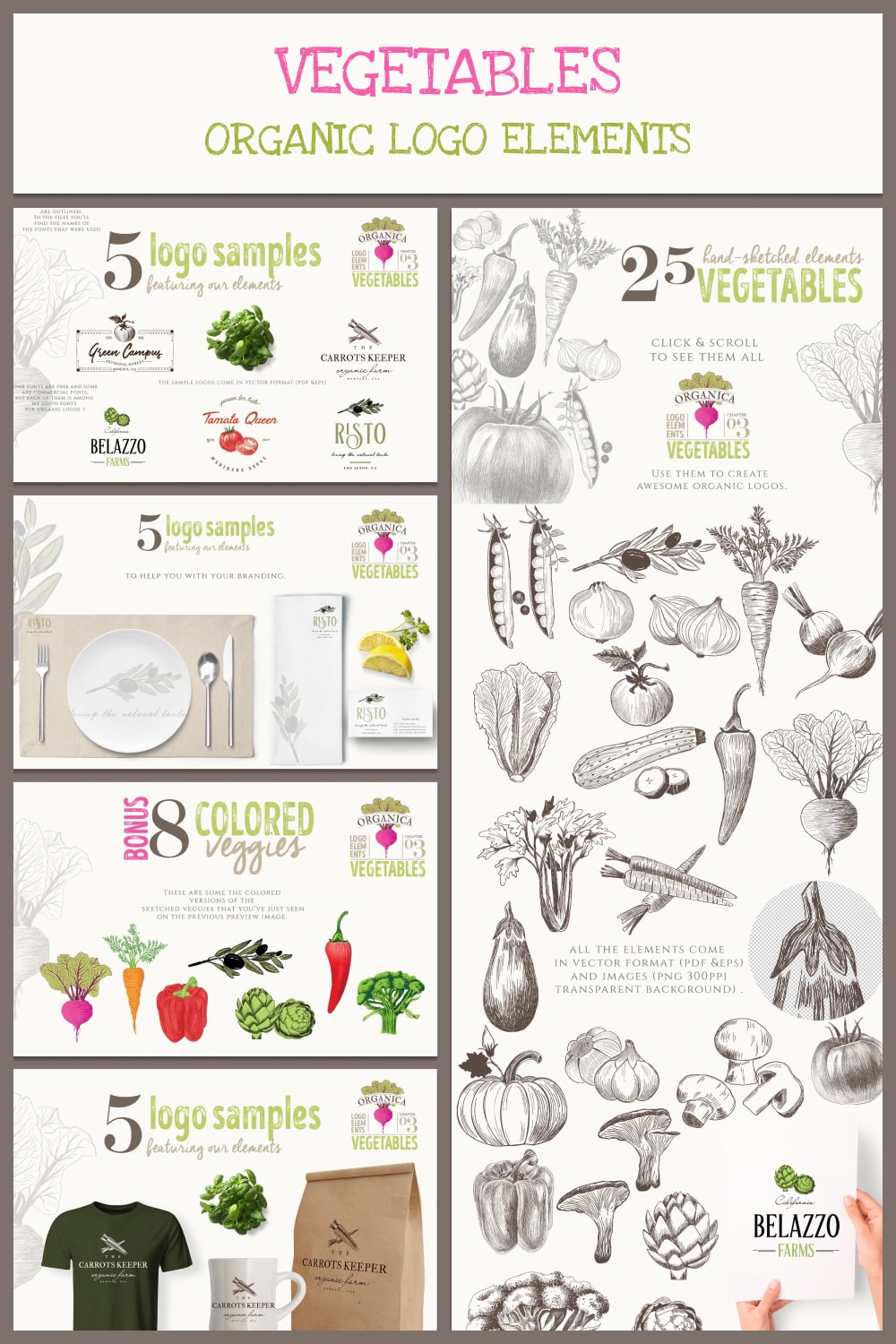 Organic Logo Elements – Vegetables | Master Bundles