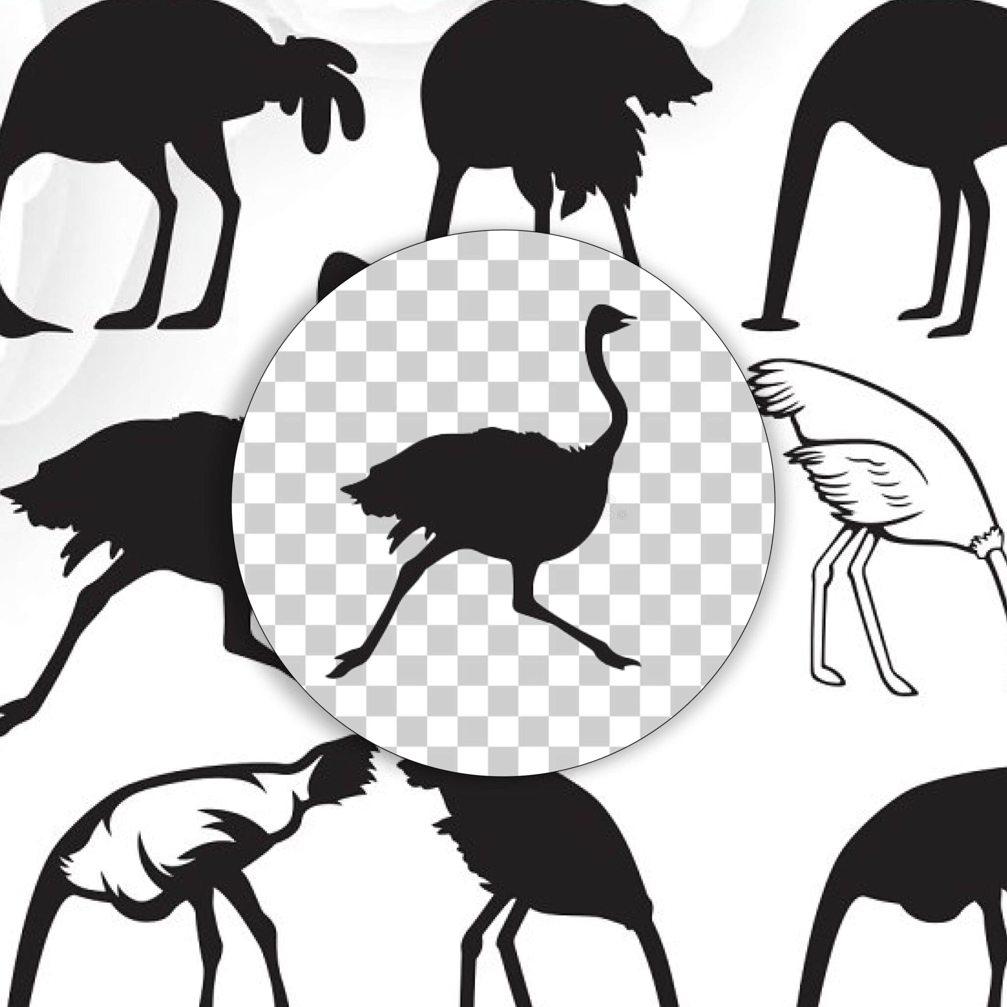 Ostrich Head In Sand SVG, Ostrich SVG – MasterBundles